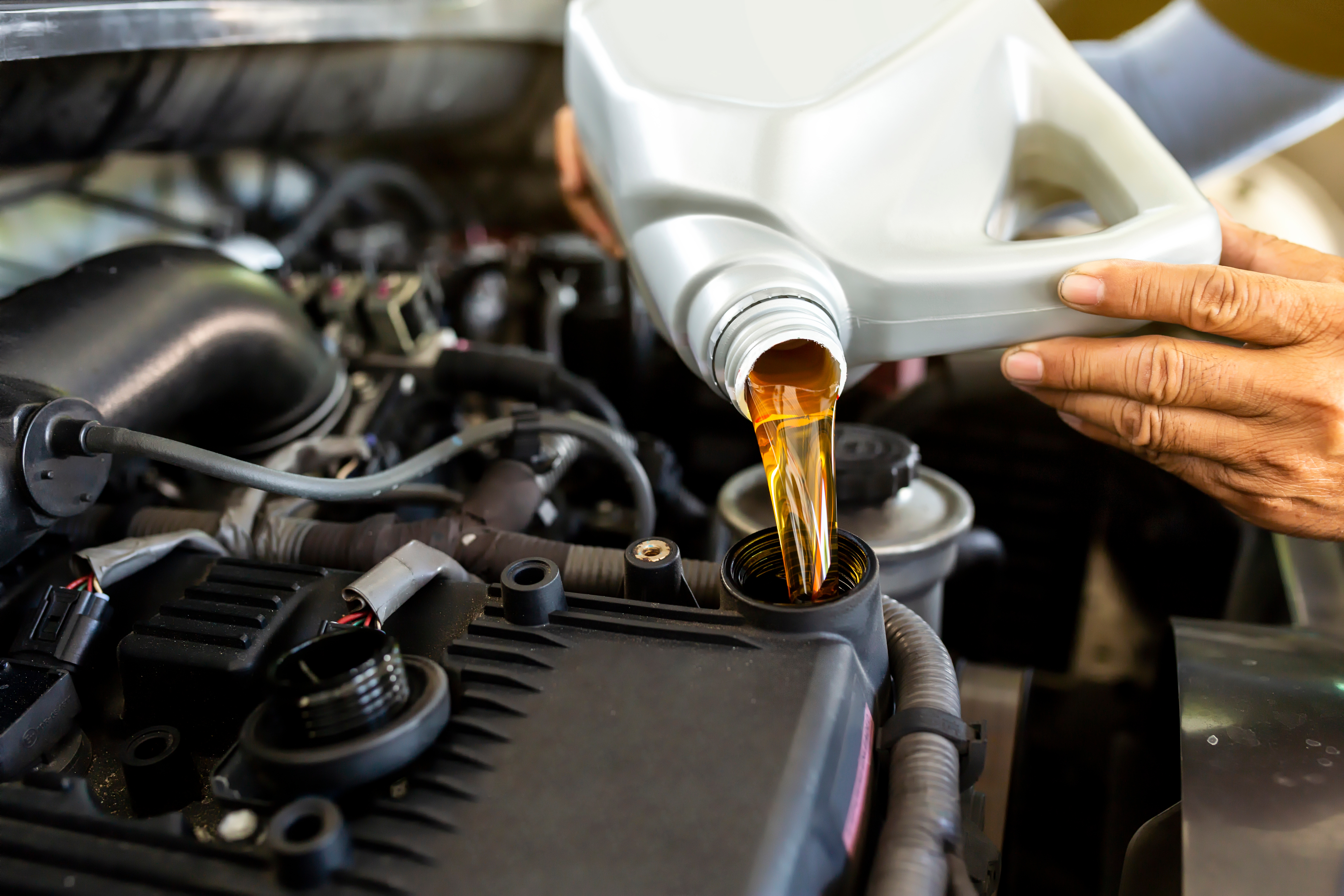 When Should I Change My Audi's Oil and Oil Filter? | Warwick - Elite ...